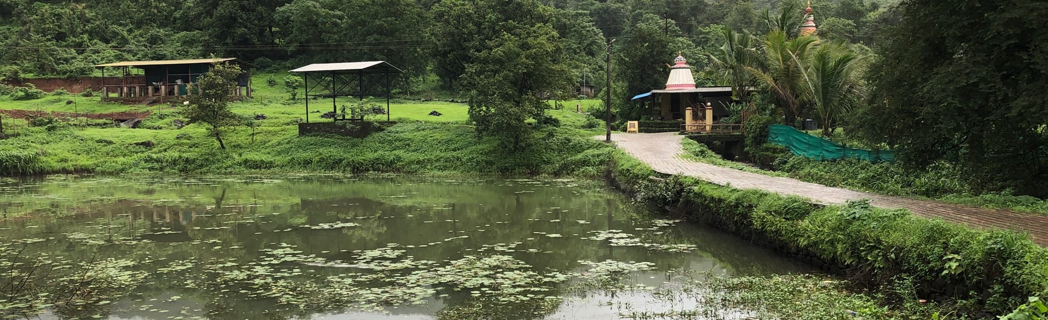 Palasdari Waterfall : 10 Photos - Maharashtra, Inde | Randonnée | AllTrails