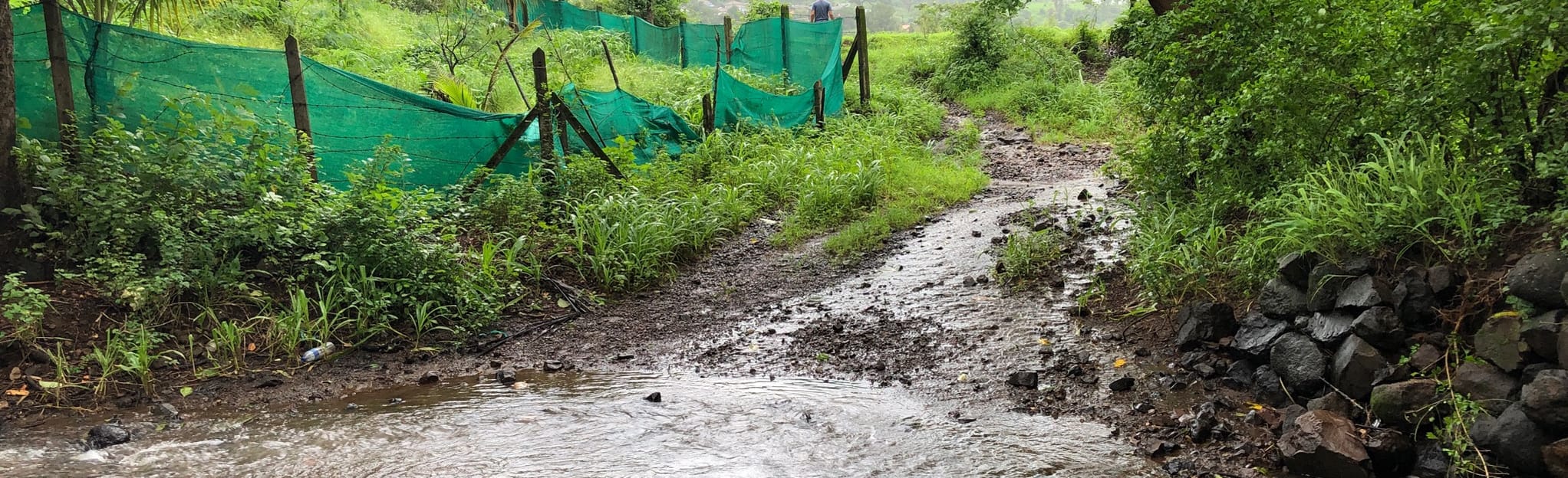 Palasdari Waterfall: 2 Reviews, Map - Maharashtra, India | AllTrails