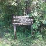 Temple Terrace Riverfront Park Trail, Florida - 35 Reviews, Map | AllTrails