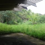 Temple Terrace Riverfront Park Trail, Florida - 35 Reviews, Map | AllTrails