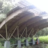 Temple Terrace Riverfront Park Trail, Florida - 35 Reviews, Map | AllTrails
