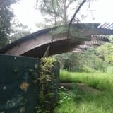 Temple Terrace Riverfront Park Trail, Florida - 35 Reviews, Map | AllTrails