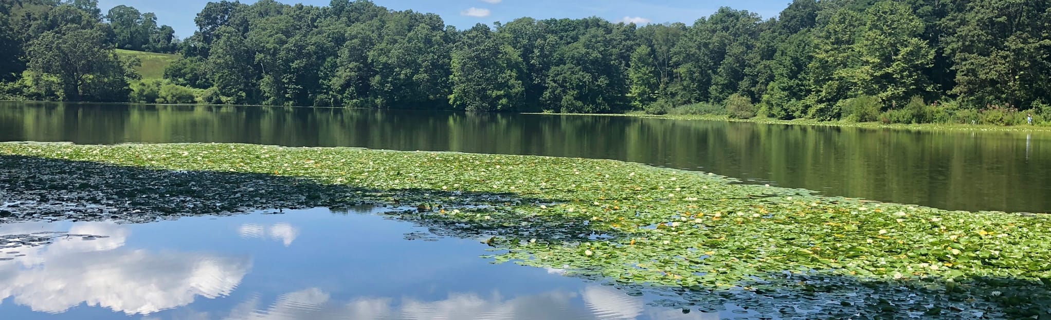 Rockefeller State Park Outer Loop, New York - 175 Reviews, Map | AllTrails