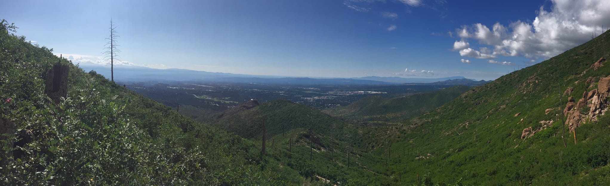 Mitchell Trail, New Mexico - 68 Reviews, Map | AllTrails