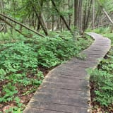 Little Traverse Lake, Michigan - 49 Reviews, Map | AllTrails