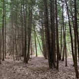 Little Traverse Lake, Michigan - 45 Reviews, Map | AllTrails