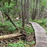 Little Traverse Lake, Michigan - 49 Reviews, Map | AllTrails
