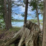 Little Traverse Lake, Michigan - 49 Reviews, Map | AllTrails