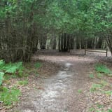 Little Traverse Lake, Michigan - 45 Reviews, Map | AllTrails