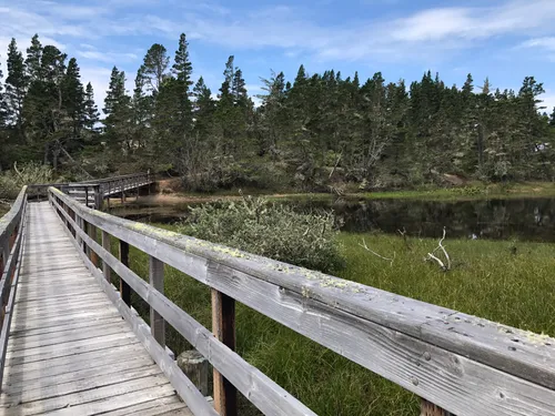 10 Best Trails and Hikes in Coos Bay | AllTrails