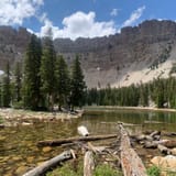 Baker Lake Trail, Nevada - 135 Reviews, Map | AllTrails