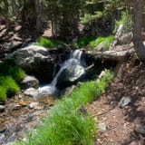 Baker Lake Trail, Nevada - 135 Reviews, Map | AllTrails