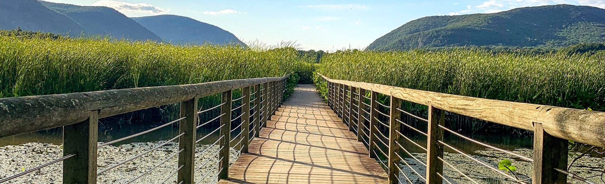 Constitution Marsh Audubon Center and Sanctuary Trail: 135 Reviews, Map ...