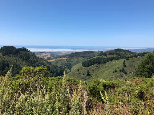 10 Best Trails and Hikes in Woodside | AllTrails