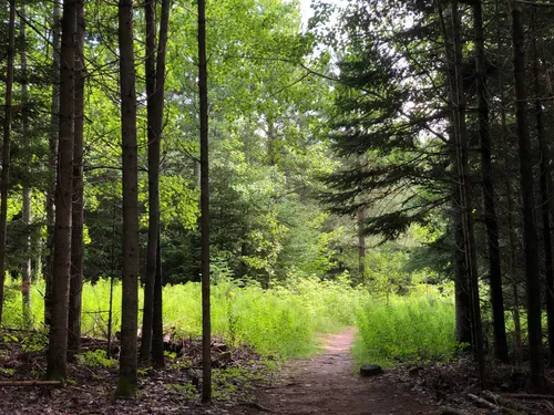 Best Hikes and Trails in Bonshaw Provincial Park | AllTrails