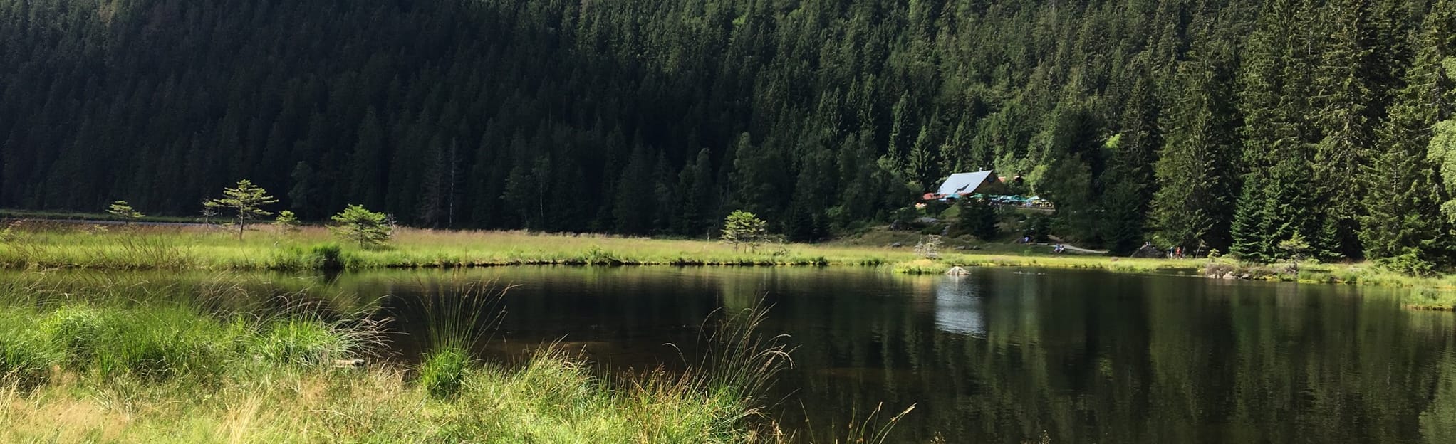 Lam loop to the small Arbersee and the Hindenburgkanzel: 5 Reviews, Map ...