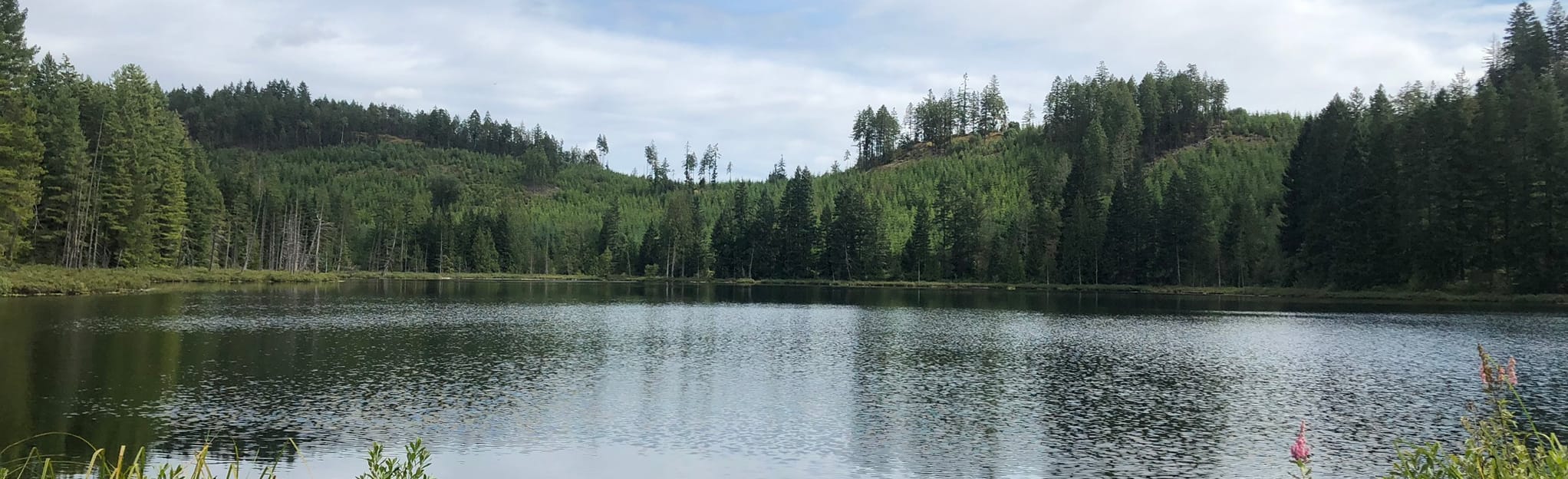 McKay, Crystal and Timberland Lakes: 24 Reviews, Map - British Columbia ...