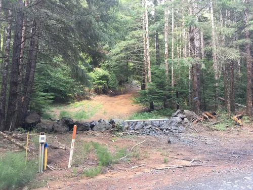 Best Hikes and Trails in Camas Valley | AllTrails