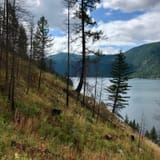 Sullivan Lake, Washington - 109 Reviews, Map | AllTrails
