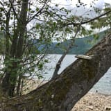 Sullivan Lake, Washington - 89 Reviews, Map | AllTrails