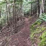 Sullivan Lake, Washington - 109 Reviews, Map | AllTrails