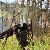 Sullivan Lake, Washington - 93 Reviews, Map | AllTrails