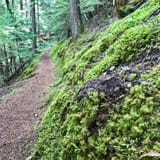 Sullivan Lake, Washington - 109 Reviews, Map | AllTrails