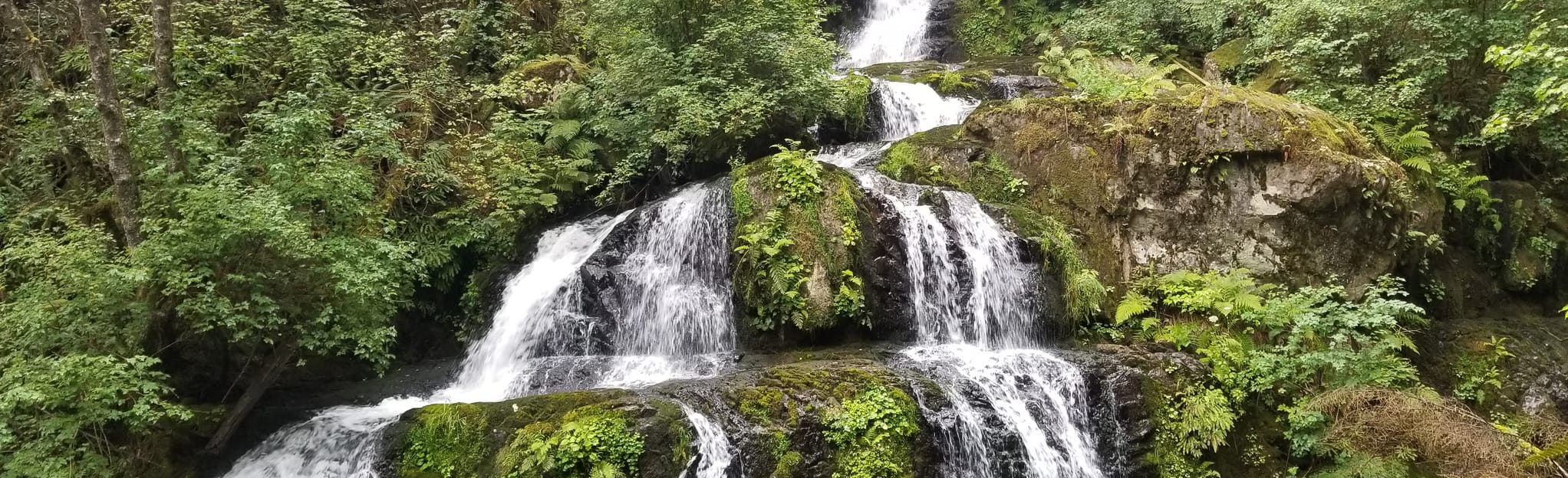 Hayward Reservoir Trail and Steelhead Falls, British Columbia, Canada ...