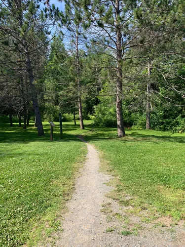 Best Hikes and Trails in Odell Park | AllTrails