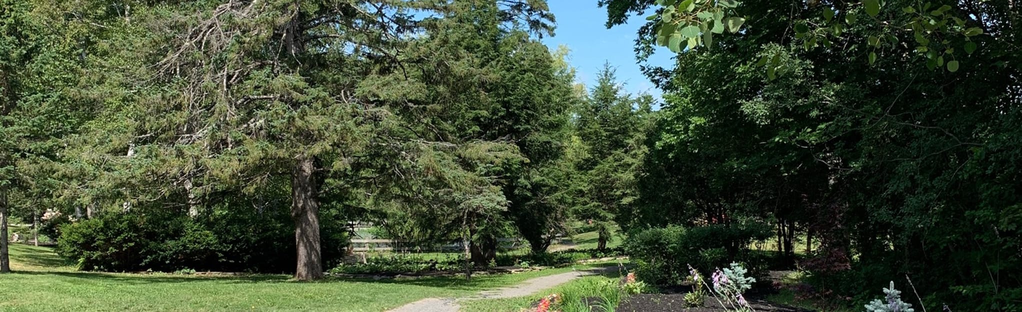 Odell Park Circuit: 153 foto's - New Brunswick, Canada | AllTrails