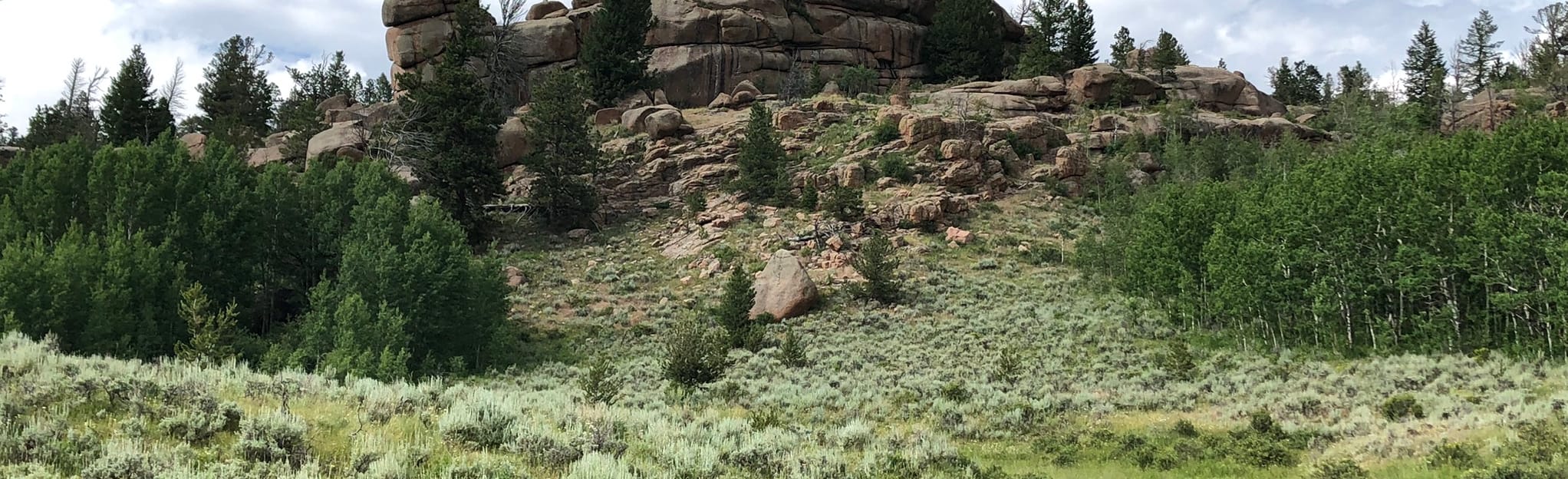Skeleton Trail and Cow Trail: 114 Reviews, Map - Wyoming | AllTrails