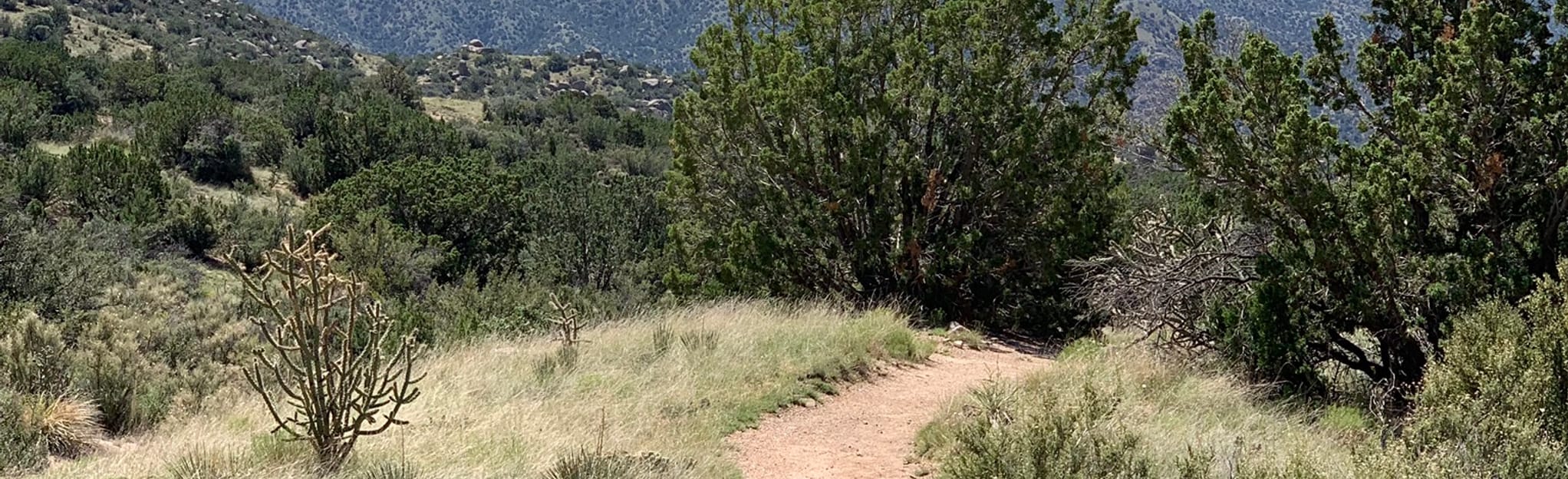 Hawk Watch, South Crest, Embudito and Three Gun Spring Trail Loop, New ...