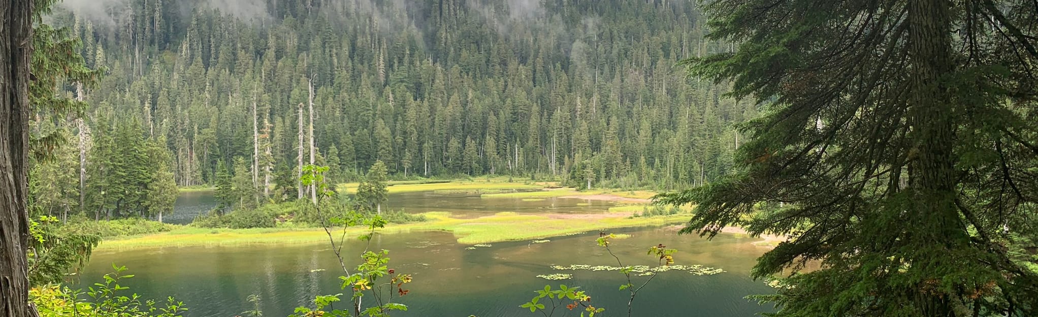 Lake Dorothy Trail: 162 Reviews, Map - Washington | AllTrails