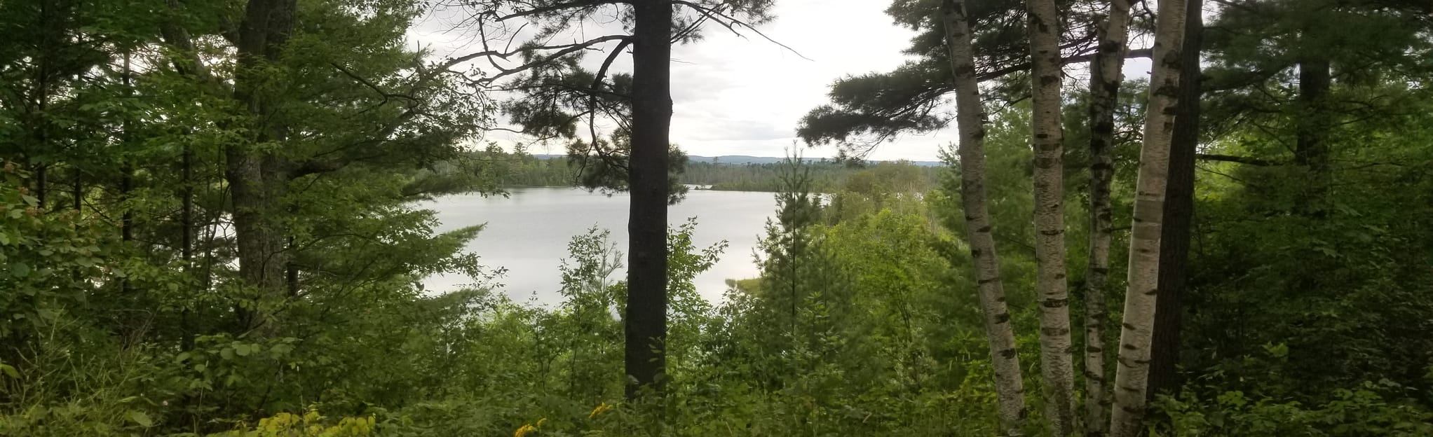 Rifle River Lakes Loop, 50 Photos - Michigan | AllTrails