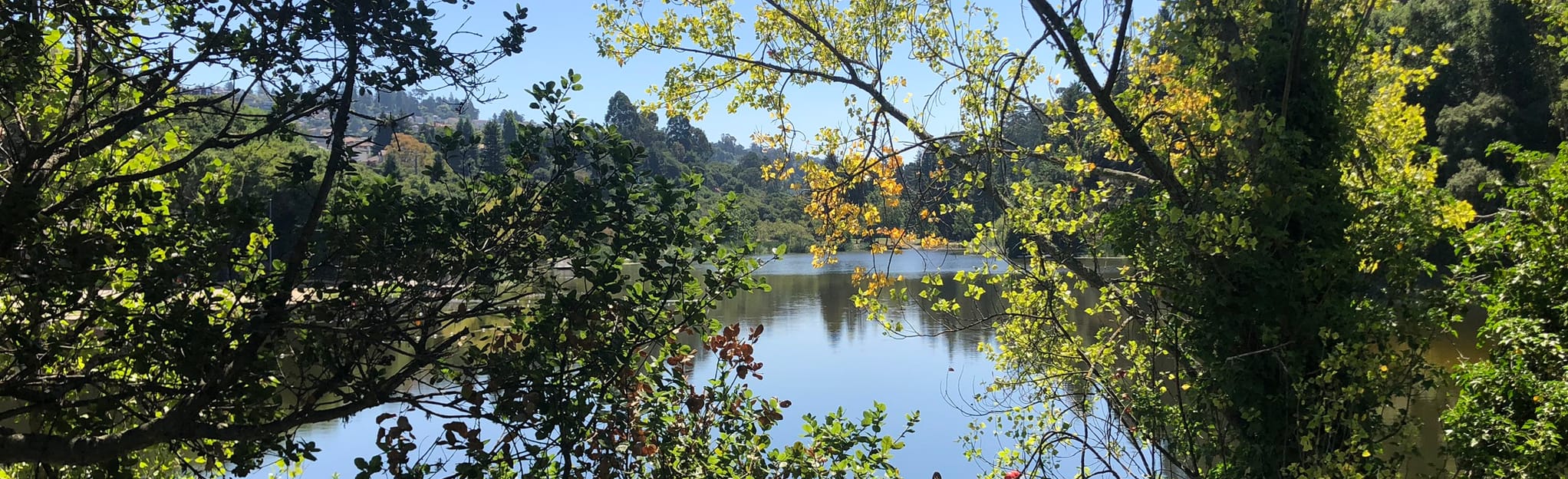 Lake Temescal Dam, East Shore and Oak Bay Loop, California - 399 ...
