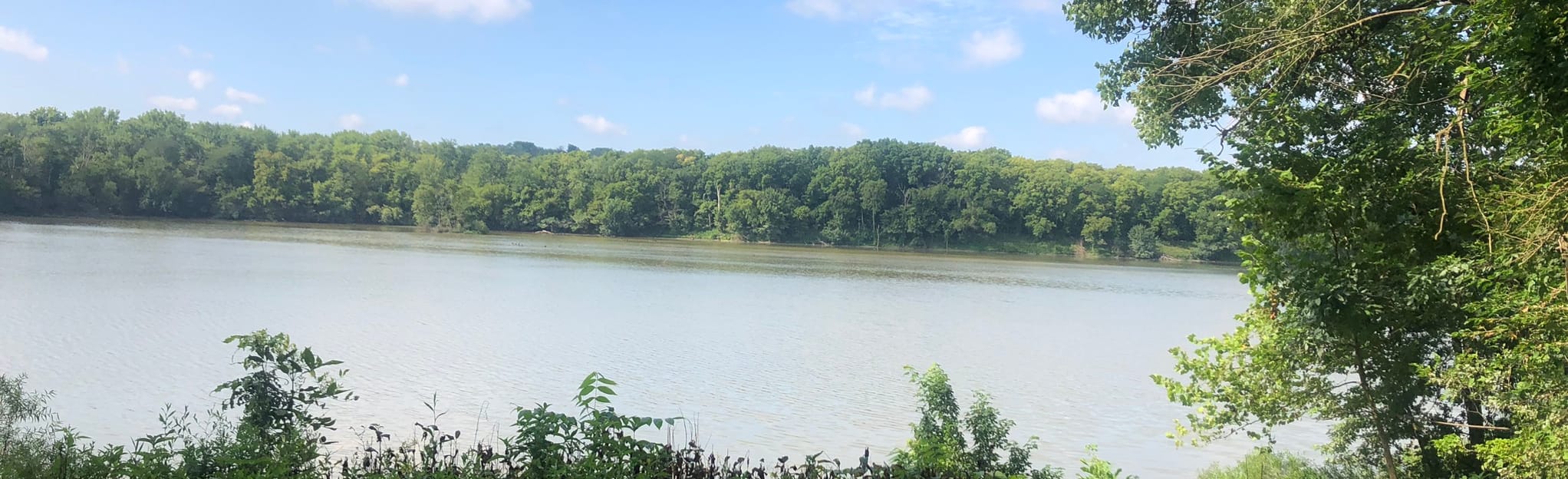 Englewood MetroPark Yellow, Green and Red Loop: 180 Reviews, Map - Ohio ...