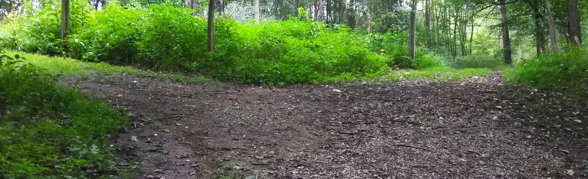 Pioneer Path, Ohio - 81 Reviews, Map | AllTrails