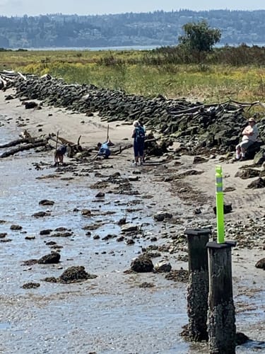 Best Hikes and Trails in Jetty Island Park | AllTrails