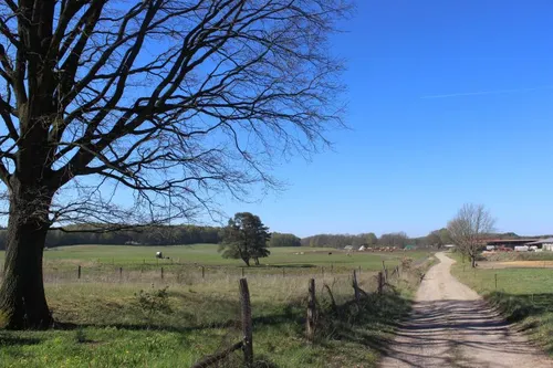 2023 Best 10 Easy Trails in Müritz National Park | AllTrails