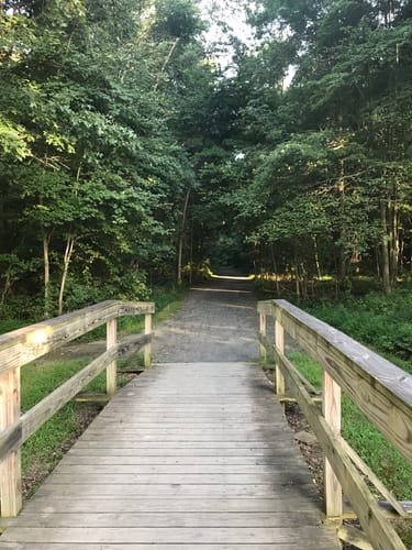 Best Hikes and Trails in Mercer Meadows | AllTrails