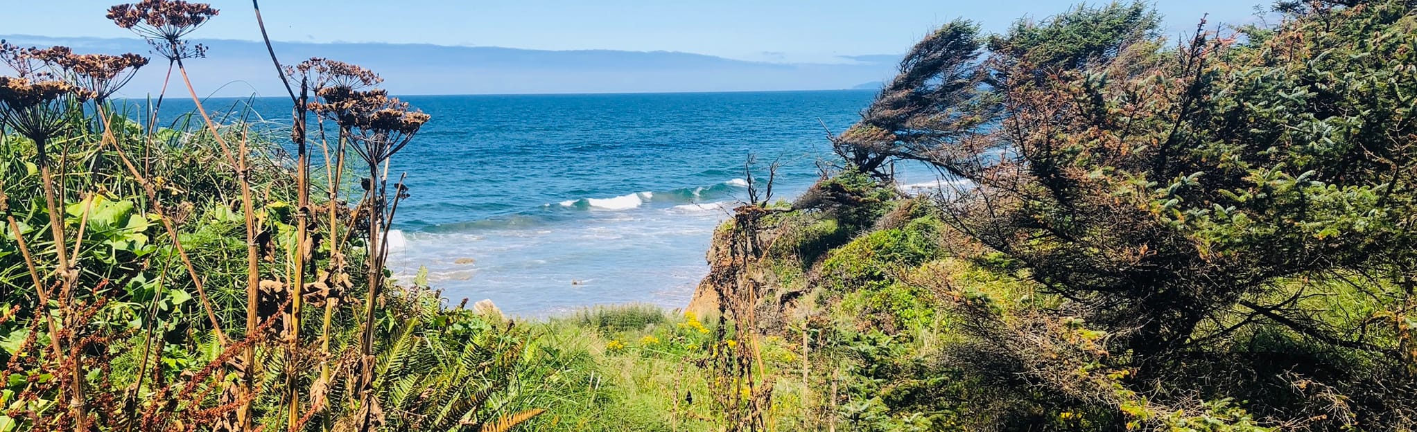 Cape Meares Beach Trail: 234 Reviews, Map - Oregon | AllTrails
