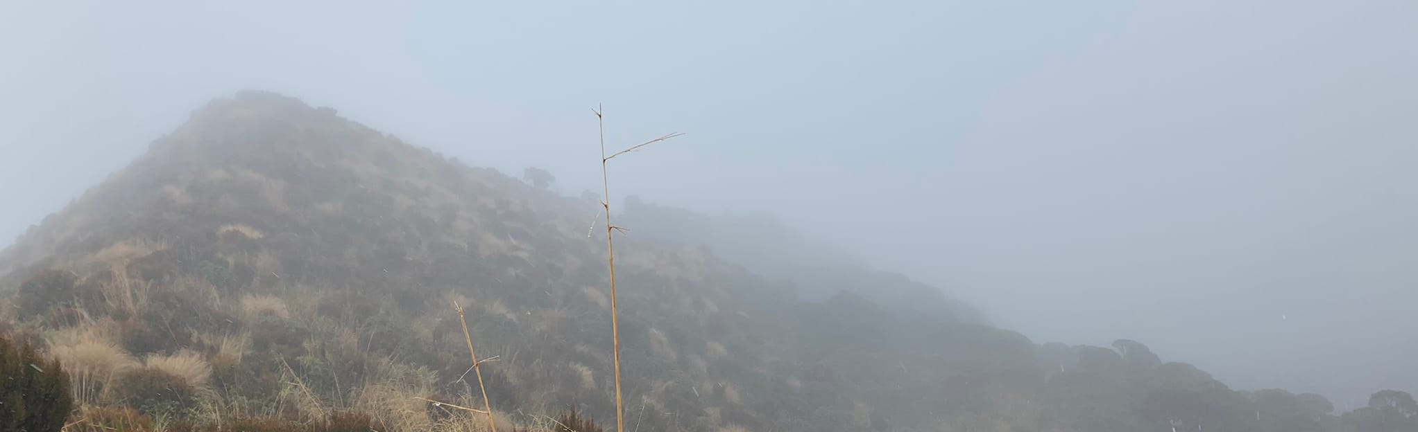 Mount French Track: 2 Reviews, Map - West Coast, New Zealand | AllTrails