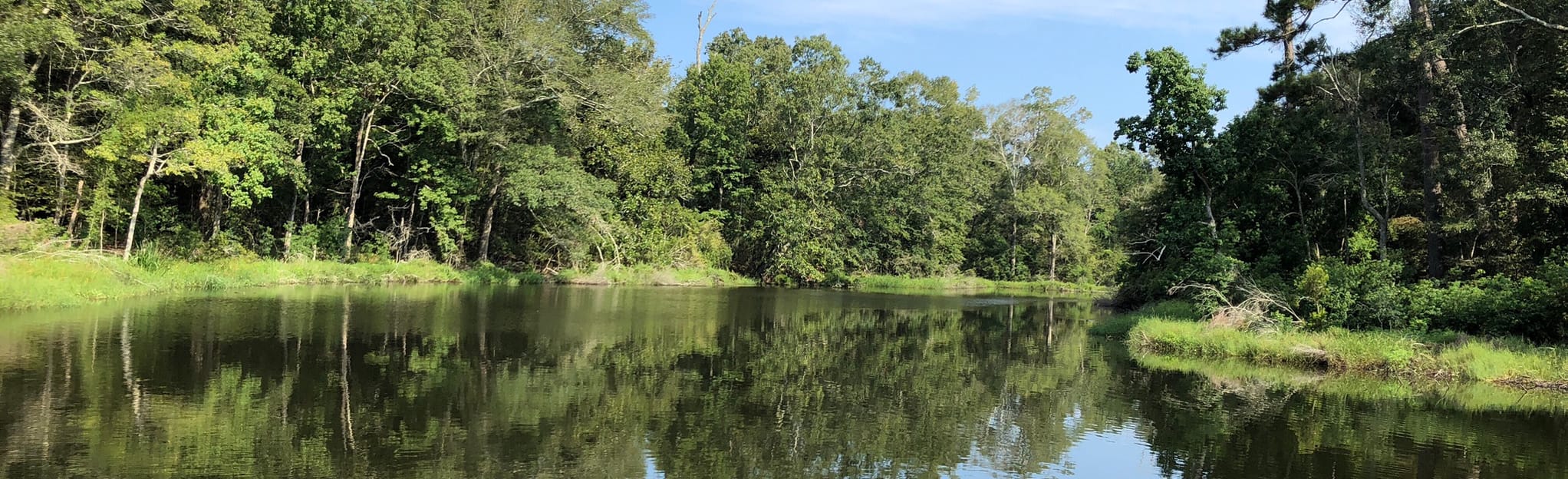 Cane Bayou Track, Louisiana - 479 Reviews, Map | AllTrails