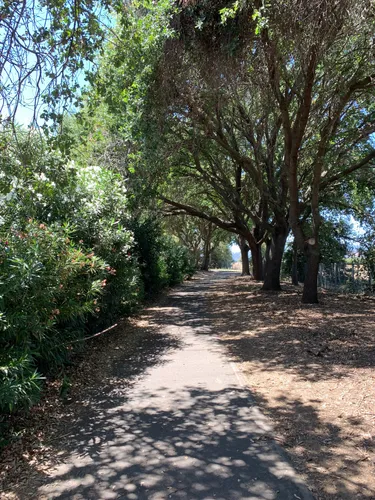 10 Best Trails and Hikes in Fairfield | AllTrails