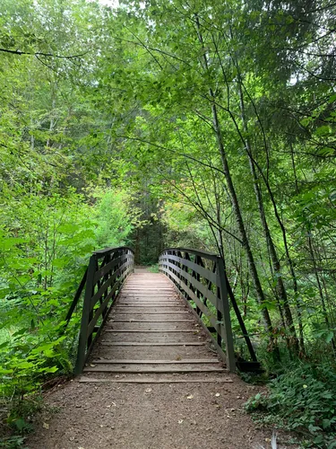 10 Best Hikes and Trails in Capitol State Forest | AllTrails