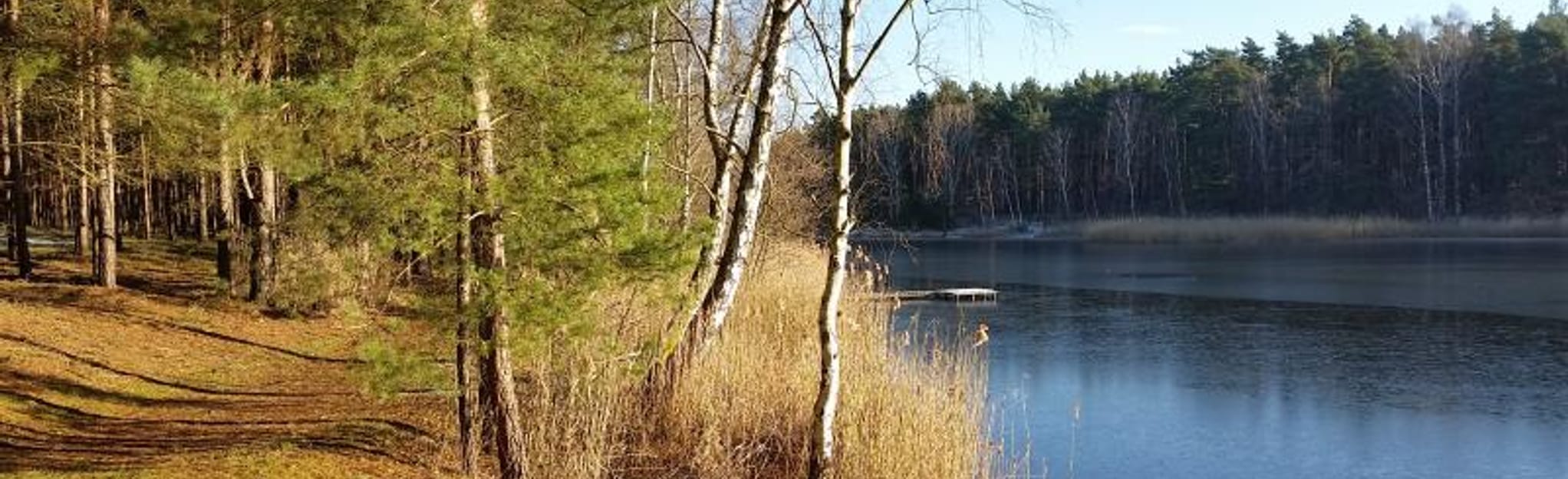 Boden-Geo-Trail: 41 foto's - Brandenburg, Duitsland | AllTrails