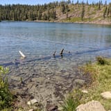 Mt. Elwell and Long Lake Loop, California - 114 Reviews, Map | AllTrails
