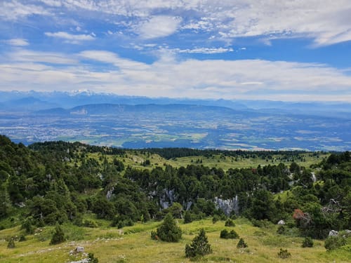 Lélex : les meilleures randonnées en forêt en 2023 | AllTrails