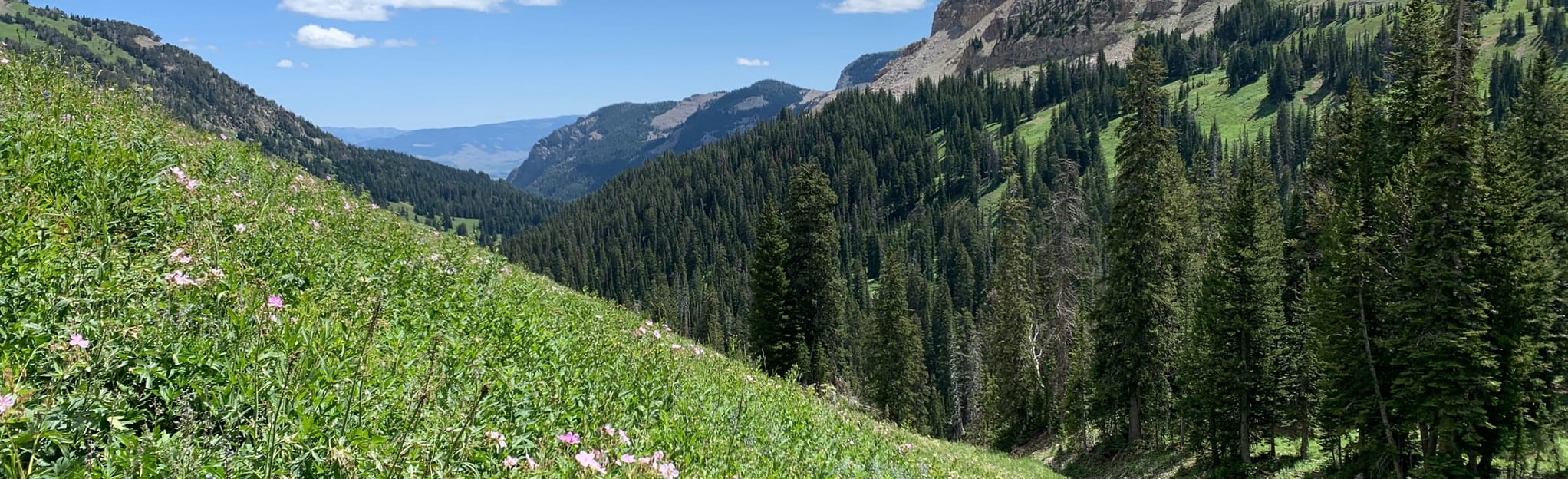 Open Canyon Trail to Marion Lake, Wyoming - 12 Reviews, Map | AllTrails
