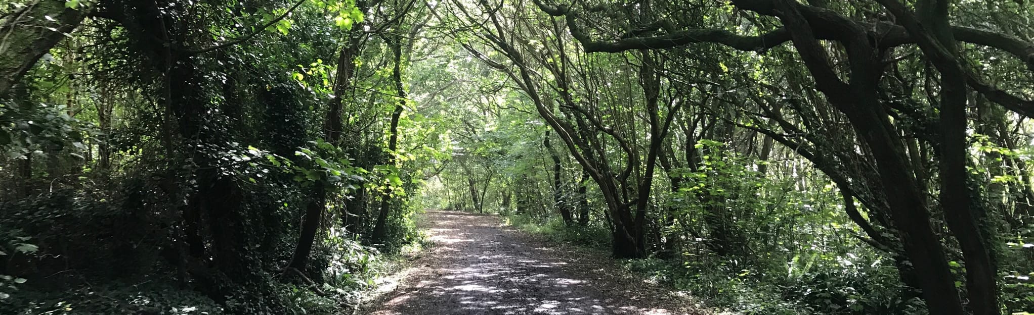 Tennyson Trail: 21 Reviews, Map - Isle of Wight, England | AllTrails